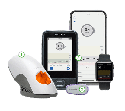 Dexcom G6 Diabetes Management: Your Complete Guide | Healthcare Home ...